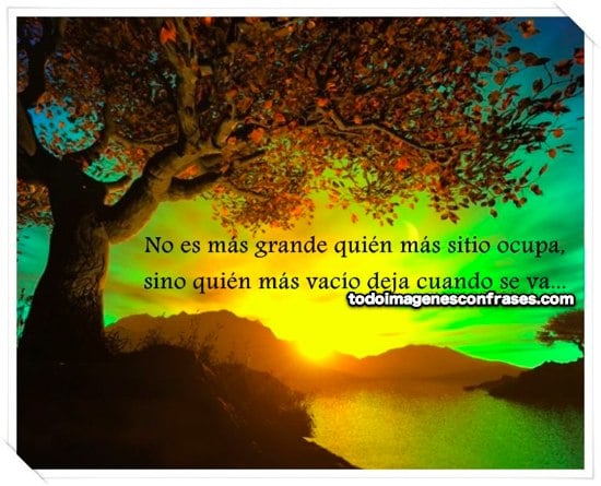 Imágenes con frases de relexión: Es más grande quien deja un vacio ...