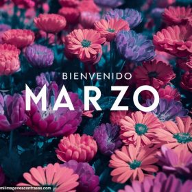 Bienvenido Marzo imágenes gratis